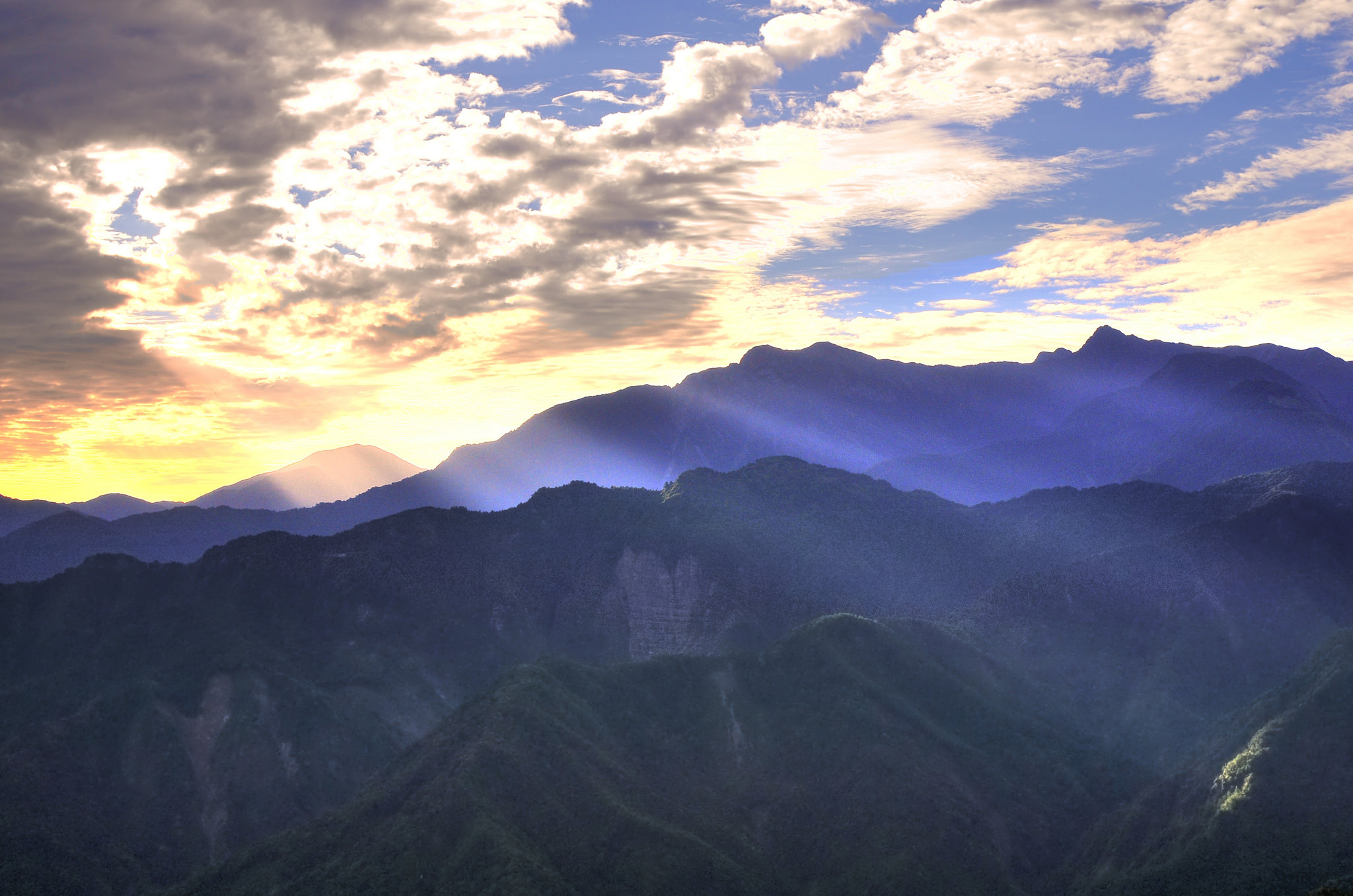 Alishan Day Tour: Fenqihu, Giant Tree Plank Trail, and more!, Itinerary ...